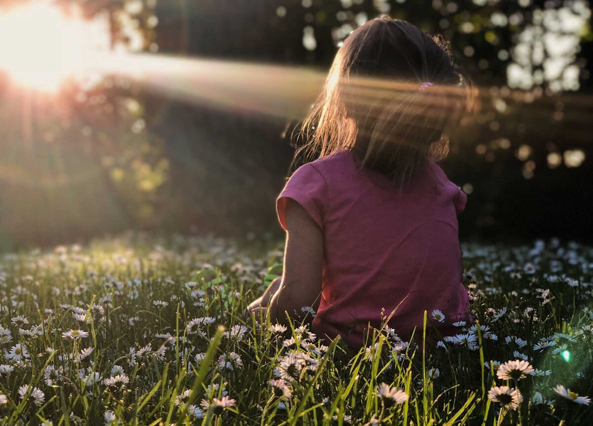 Carol's Healing sessions with Carol Bird - Energy Medicine