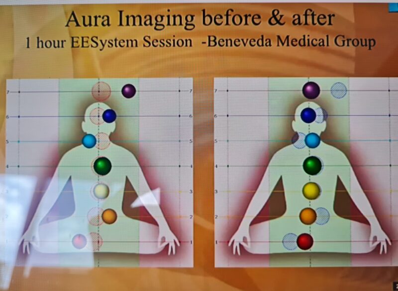 EESystem Session - Energy Medicine