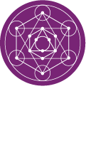 EESystem Session - Energy Medicine
